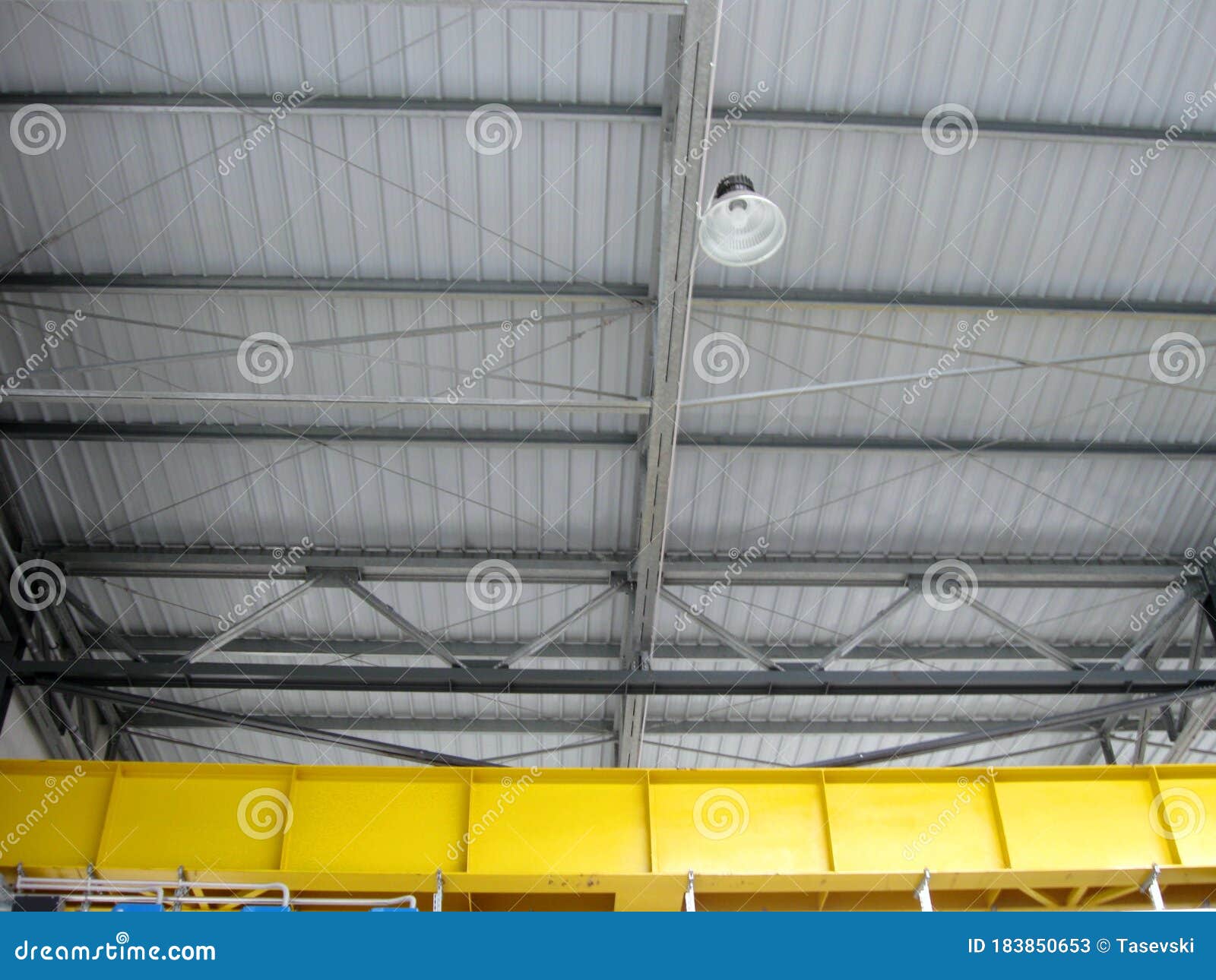 Inner Part Of The Human Hand. Close-up Human Skin On The Palm Stock ...