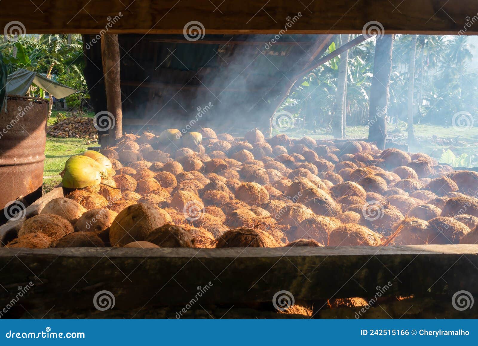 The Traditional Method of Copra Production Being Used on Mindoro Island ...
