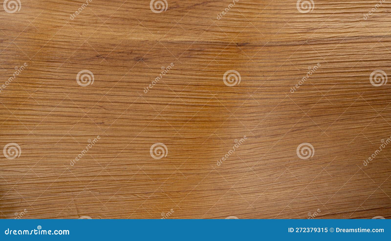 Inner Stalk Pattern of Betel Leaf Branches. Stock Image - Image of ...