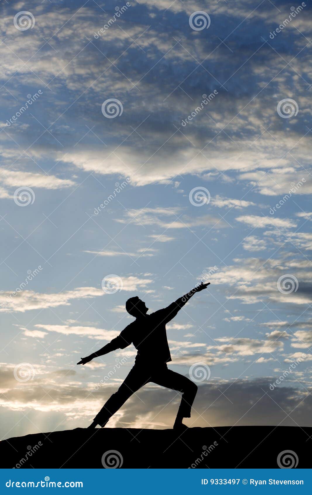 Inner Strength stock image. Image of poses, soul, exercise - 9333497