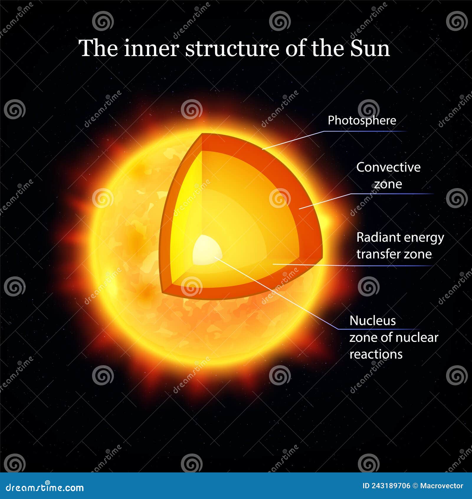 Inner Sun Structure Composition Stock Vector - Illustration of solar ...