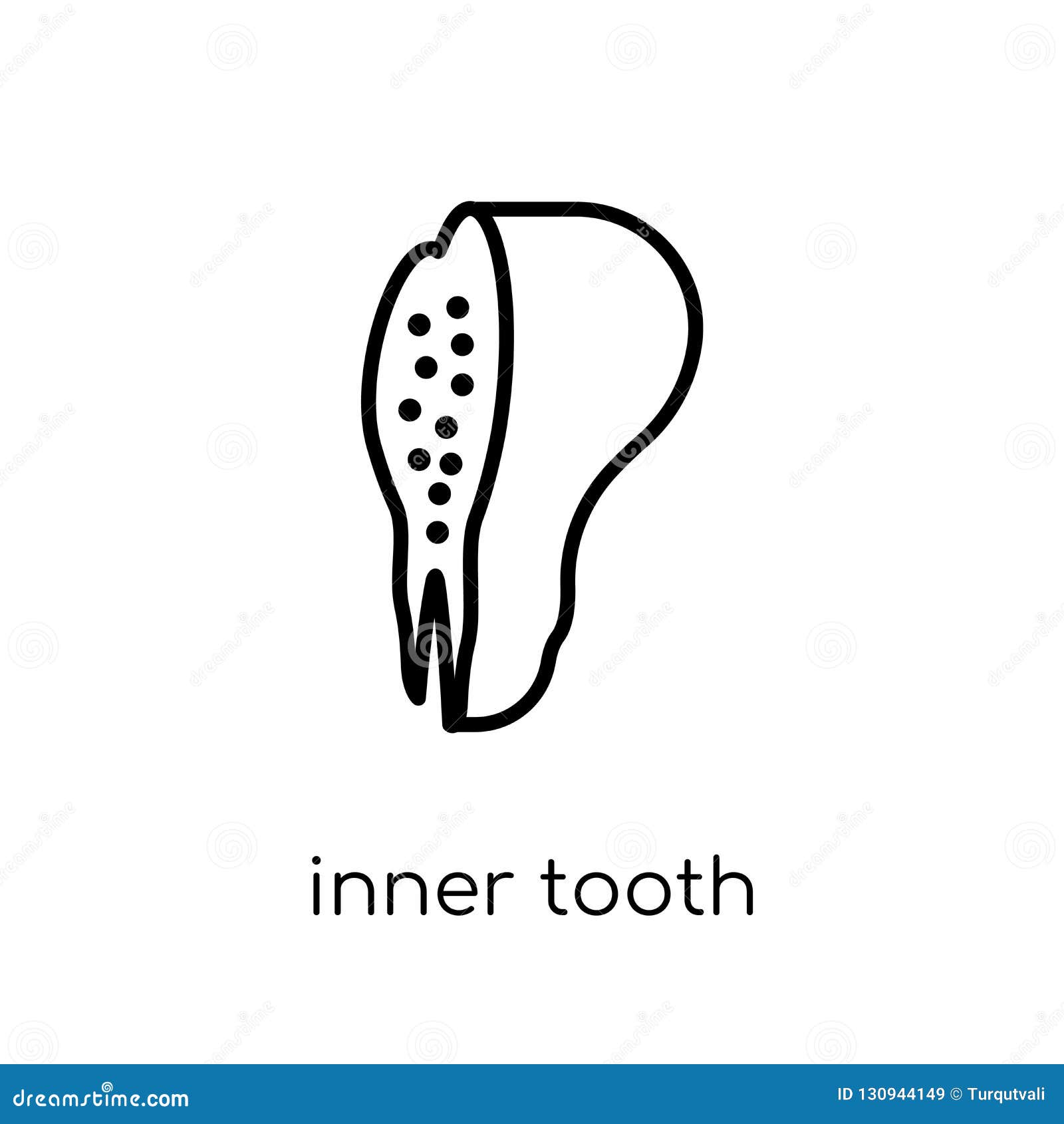 Endodontics Linear Icon Cartoon Vector | CartoonDealer.com #208537961