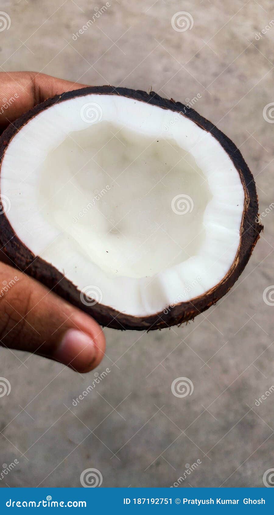 Inner White Cell of a Coconut Stock Image - Image of white, cell: 187192751