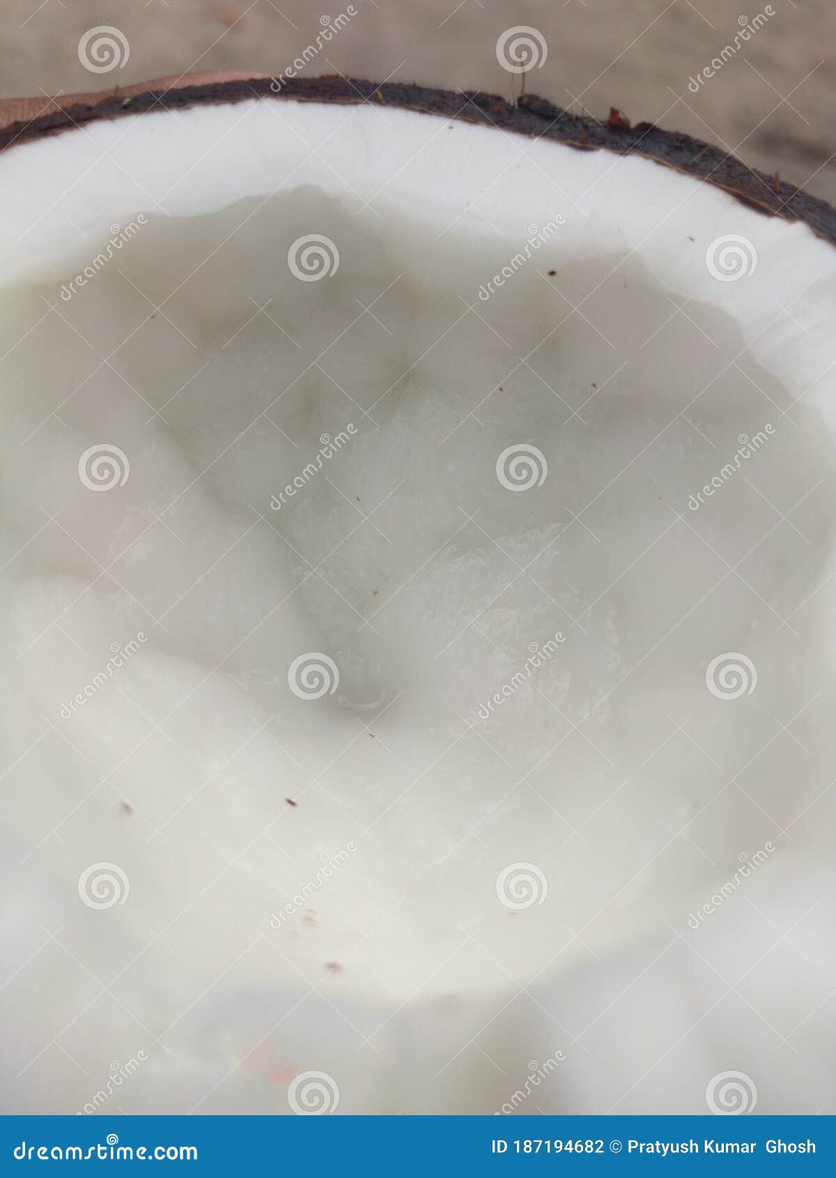 Inner White Cell of a Coconut Stock Photo - Image of textile, person ...