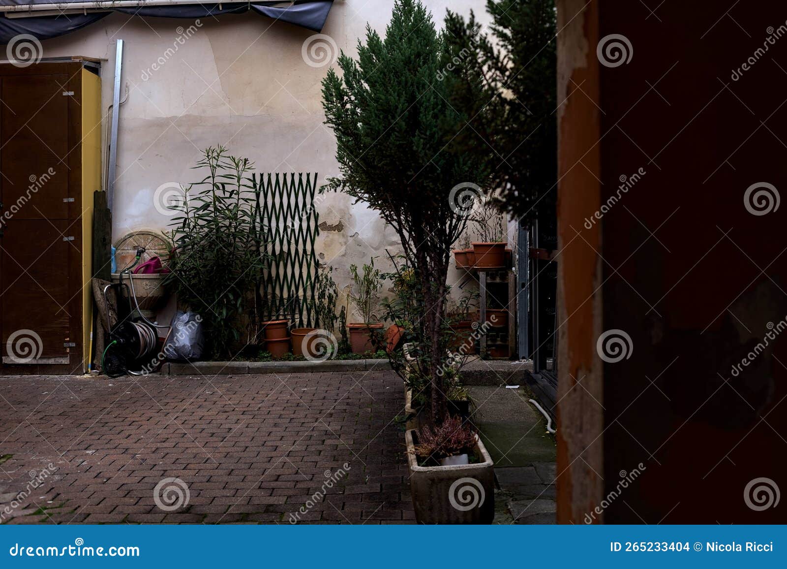 Inner Yard in the Shade with Potted Plants Stock Photo - Image of calm ...