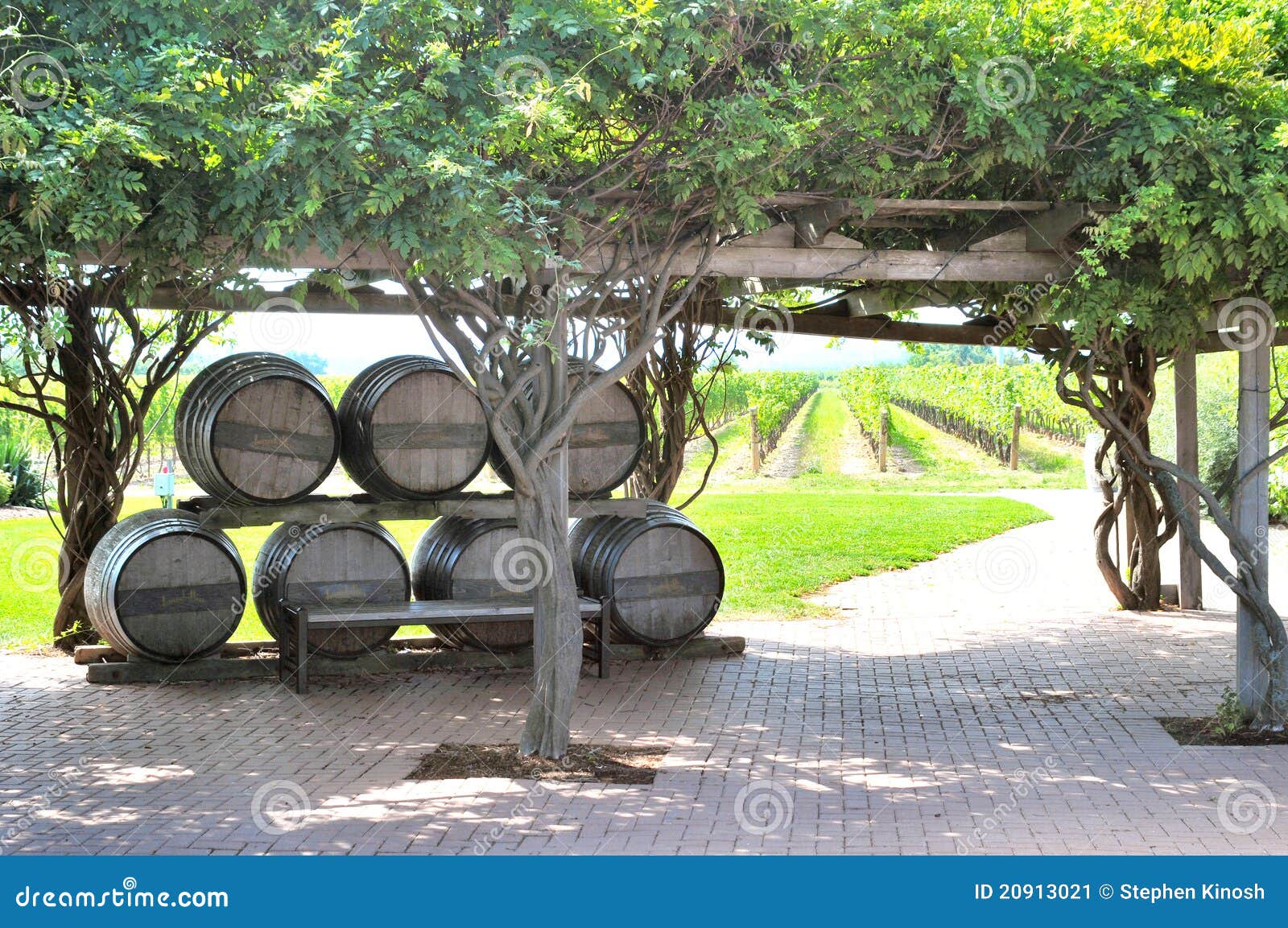 Inniskillin Winery stock image. Image of arbor, flora - 20913021