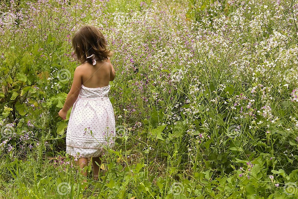 Innocence stock photo. Image of childhood, virtue, wholesome - 228218