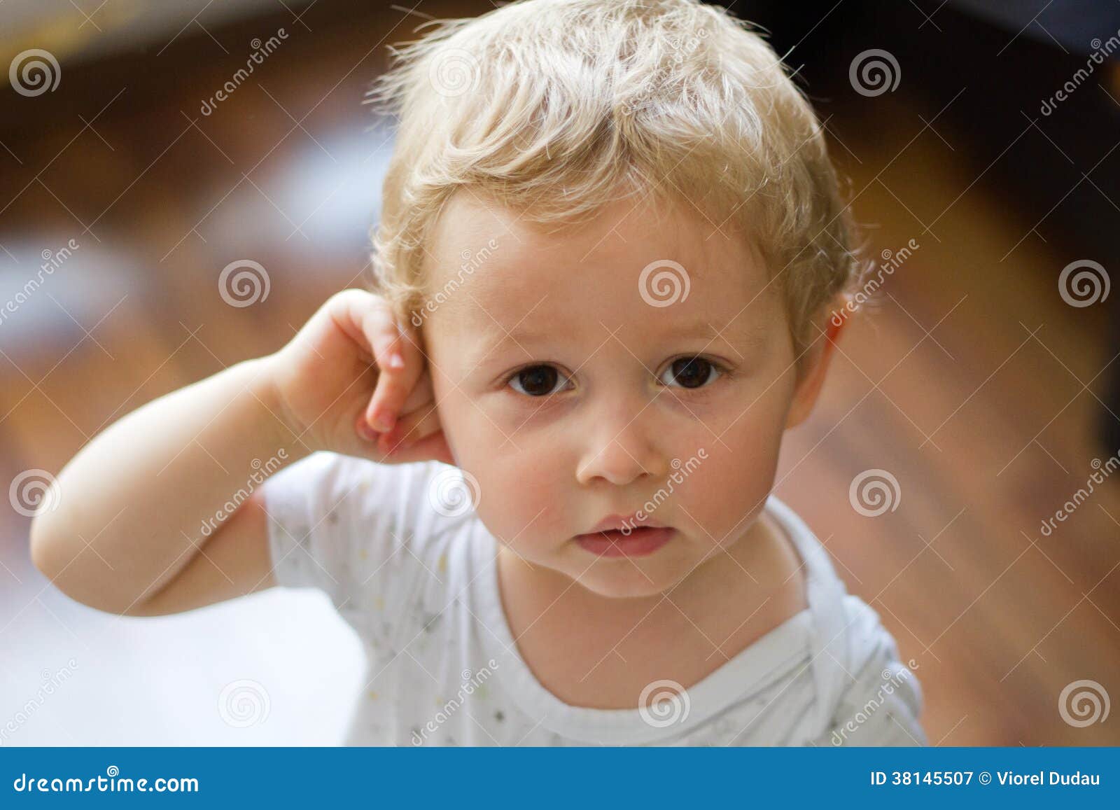 Innocent baby boy portrait stock image. Image of looking - 38145507