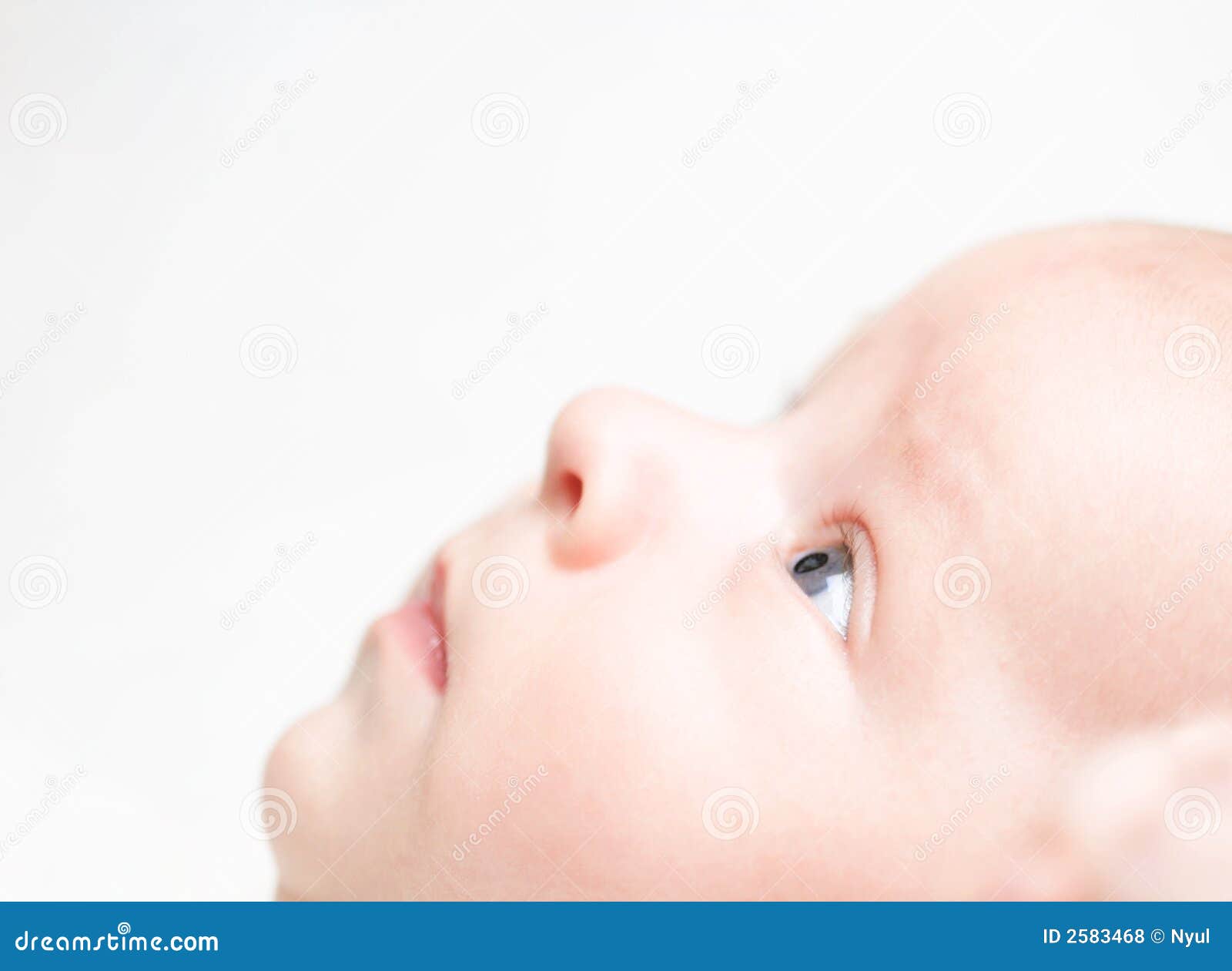 Innocent little baby stock photo. Image of close, care - 2583468
