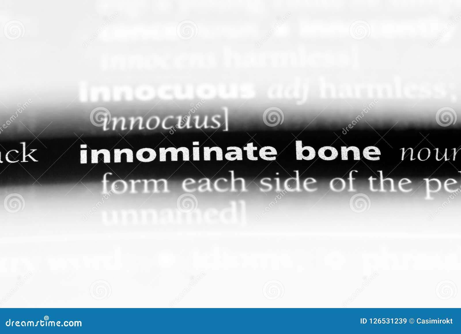 Innominate bone stock image. Image of text, concept - 126531239