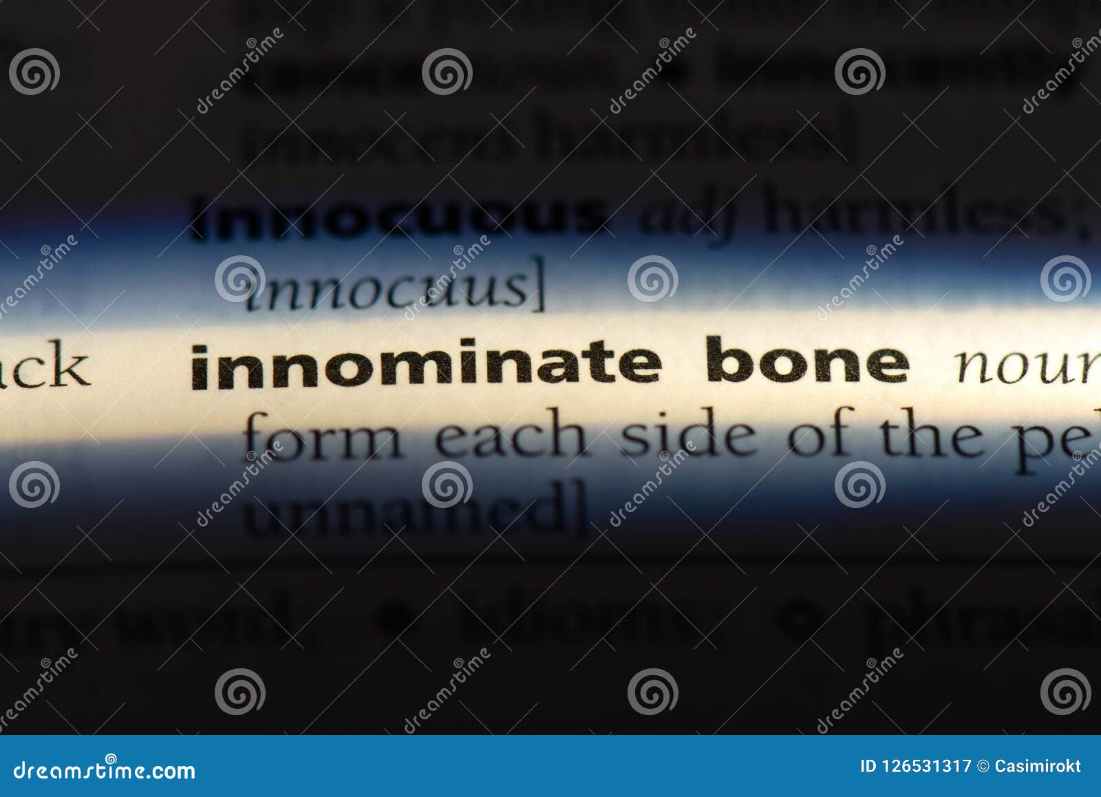 Innominate bone stock image. Image of word, definition - 126531317