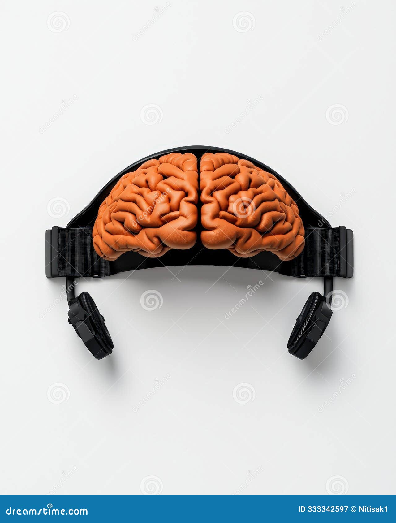 Innovative Brain Model with Headband Representing Cognitive Science and ...