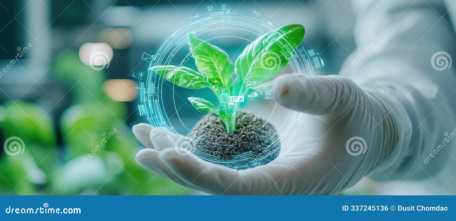 Innovative Plant Growth in Futuristic Lab with Digital Technology Stock ...