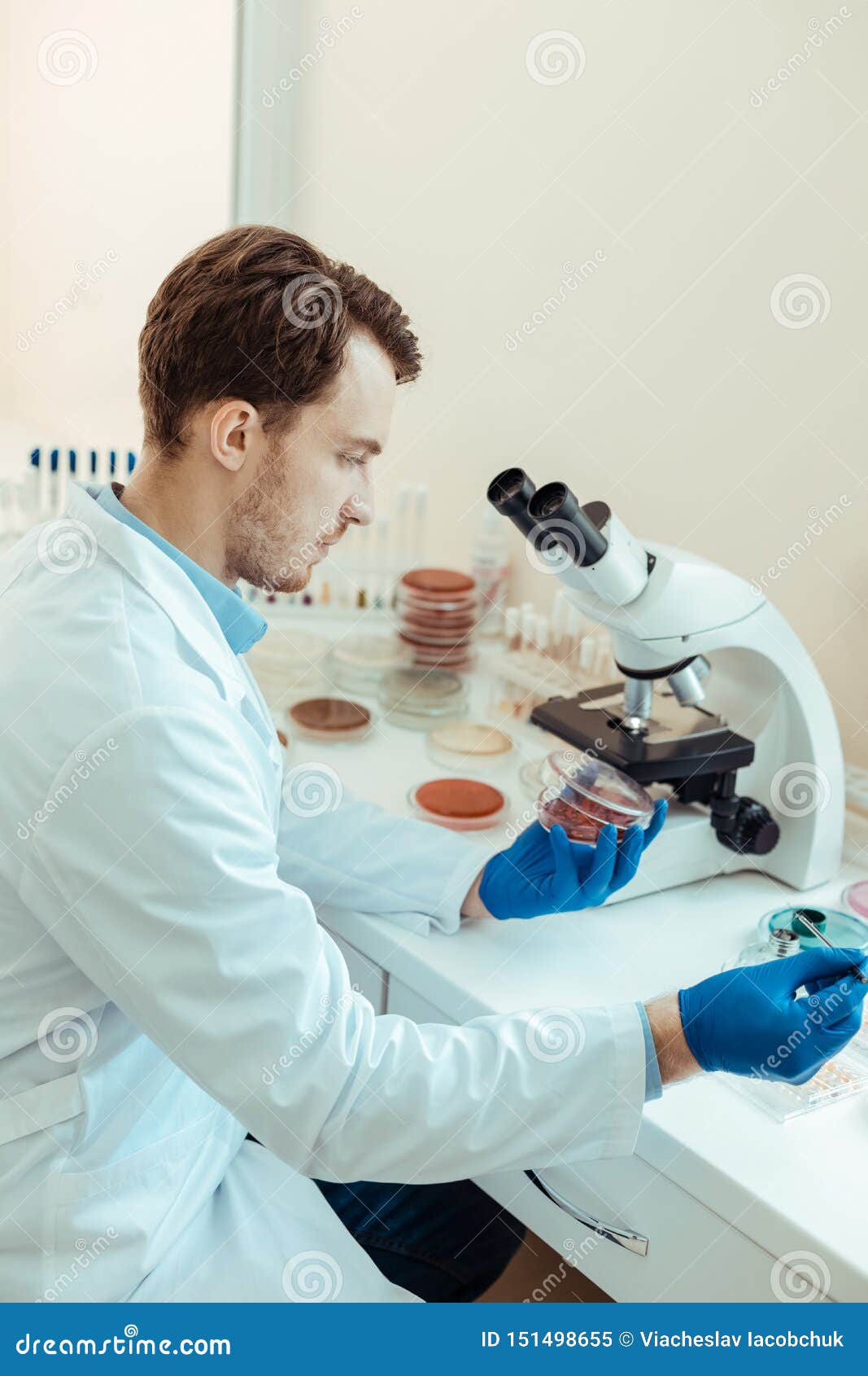 Serious Young Researcher Working in the Lab Stock Image - Image of ...
