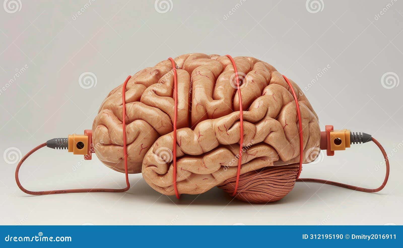 Innovative Technologies in the Field of Studying the Human Brain and ...