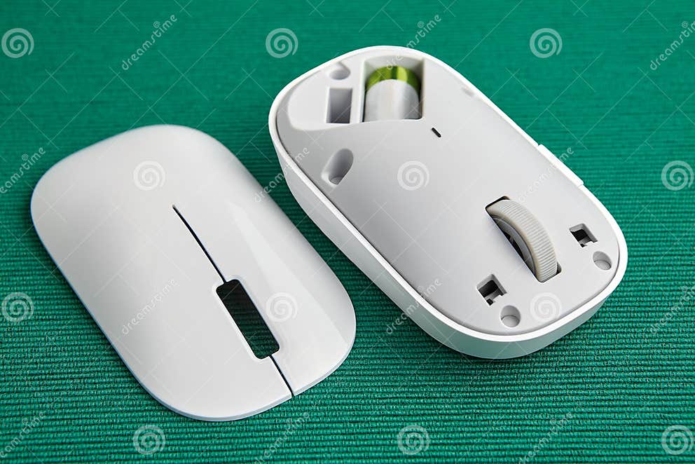 Input Device, Computer Mouse without Cover Stock Image - Image of ...
