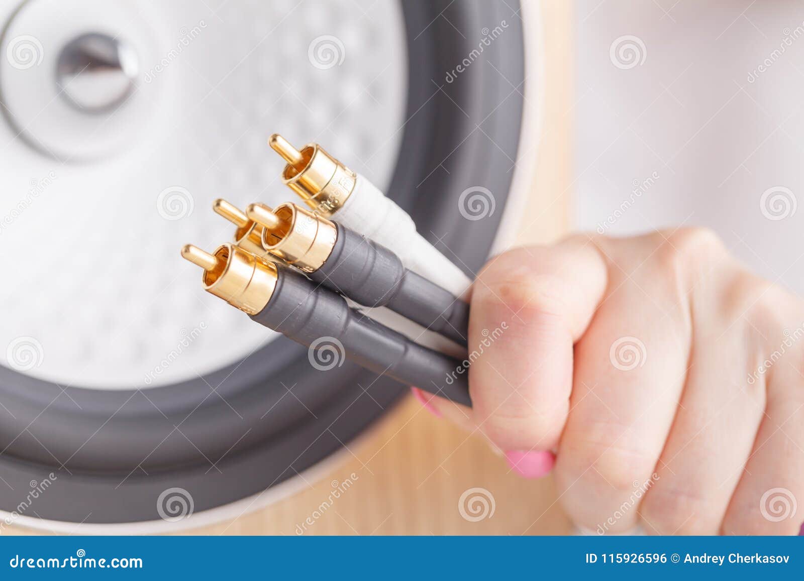 Input RCA Connectors on the Back of Loudspeaker Stock Photo - Image of ...