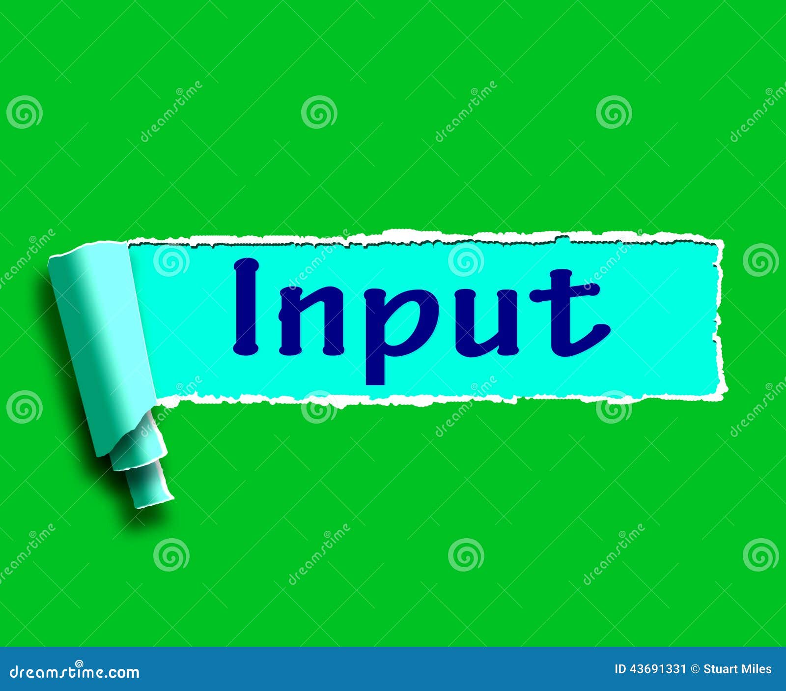 Input Word Means Online Advice and Recommendations Stock Illustration ...