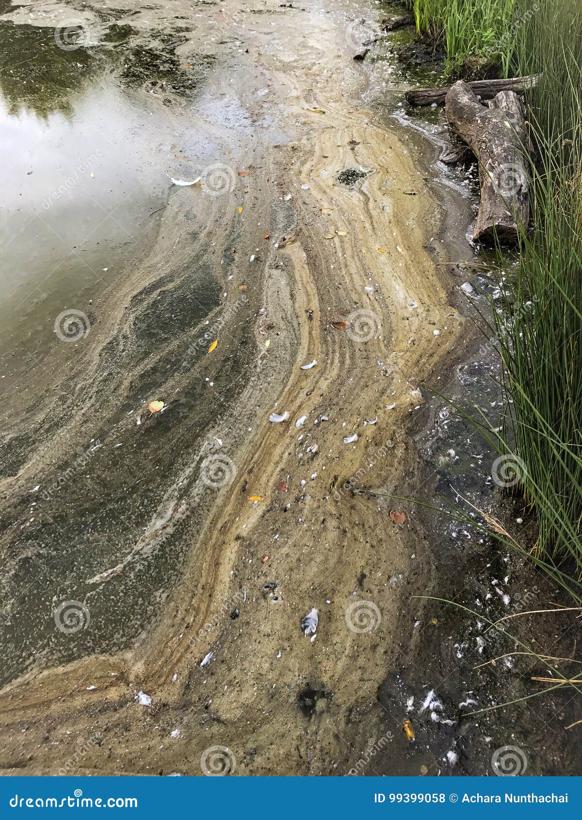 Inquinamento delle acque fotografia stock. Immagine di richmond - 99399058