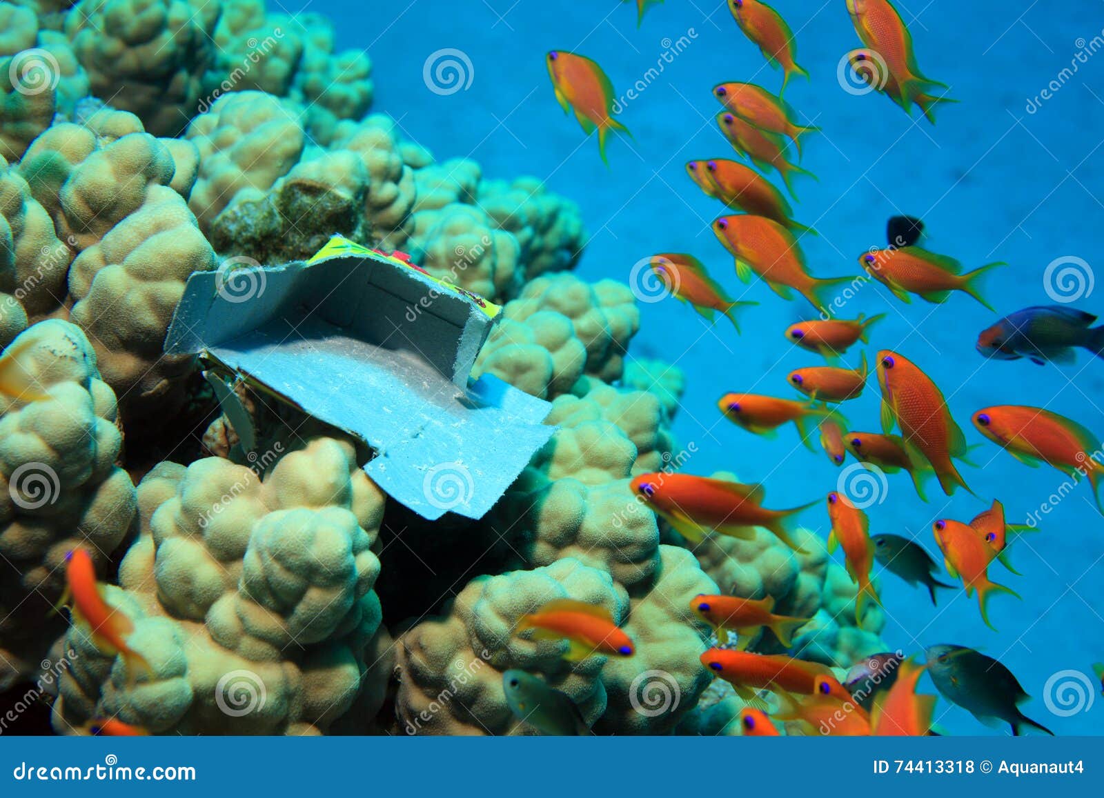 Inquinamento Marino Stock Photos - Download 3,440 Images