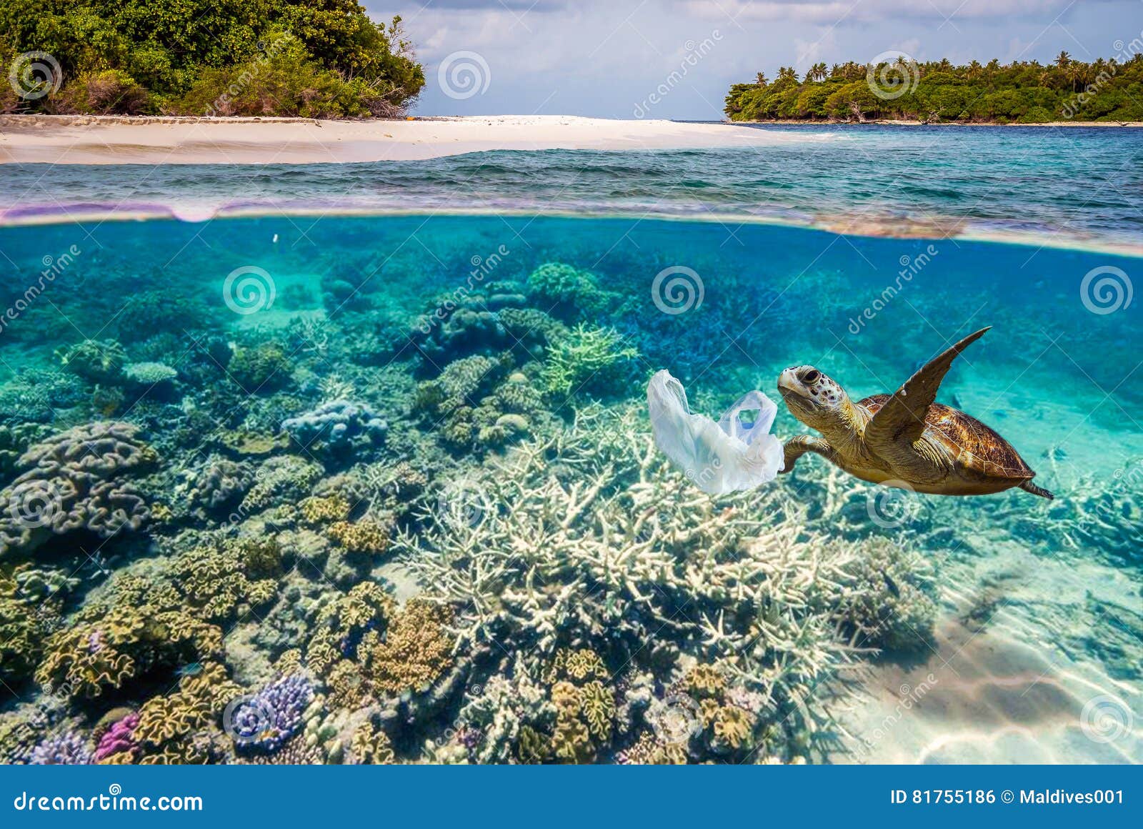 Inquinamento marino fotografia stock. Immagine di concetto - 81755186