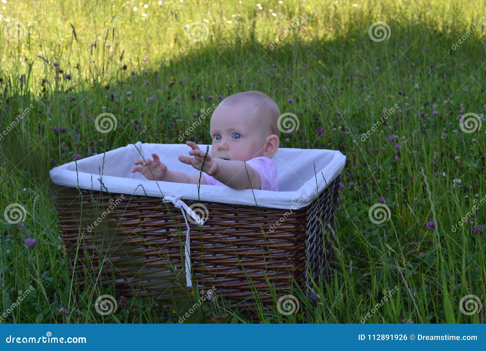 Kid Reaches Out in a Wicker Basket Stock Photo - Image of face, baby ...
