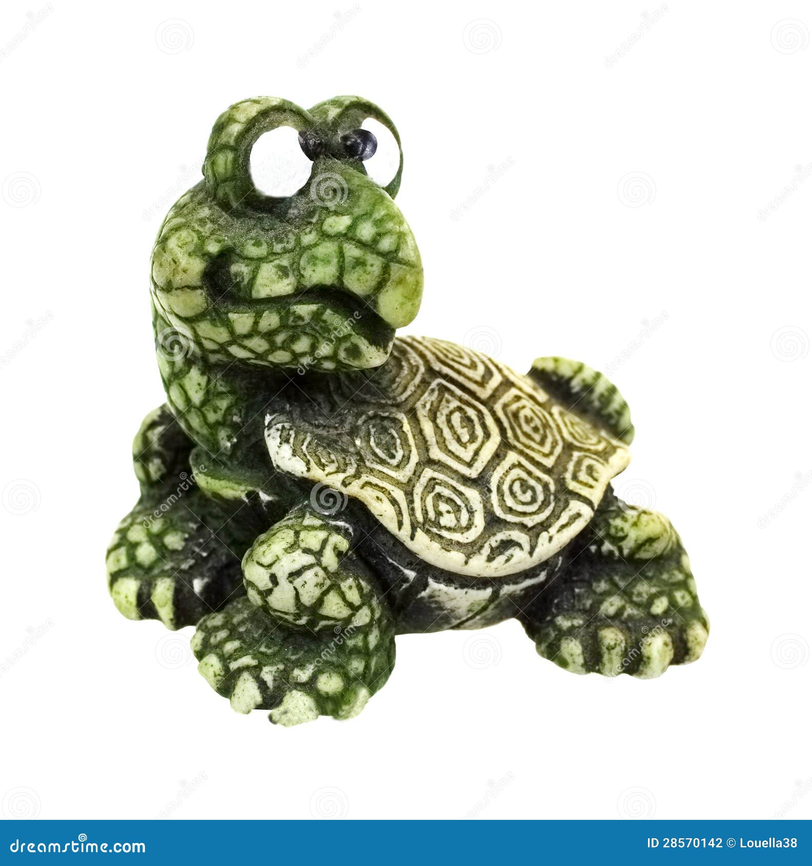 Inquisitive Hefty Turtle Paperweight Stock Photo - Image of turtle ...