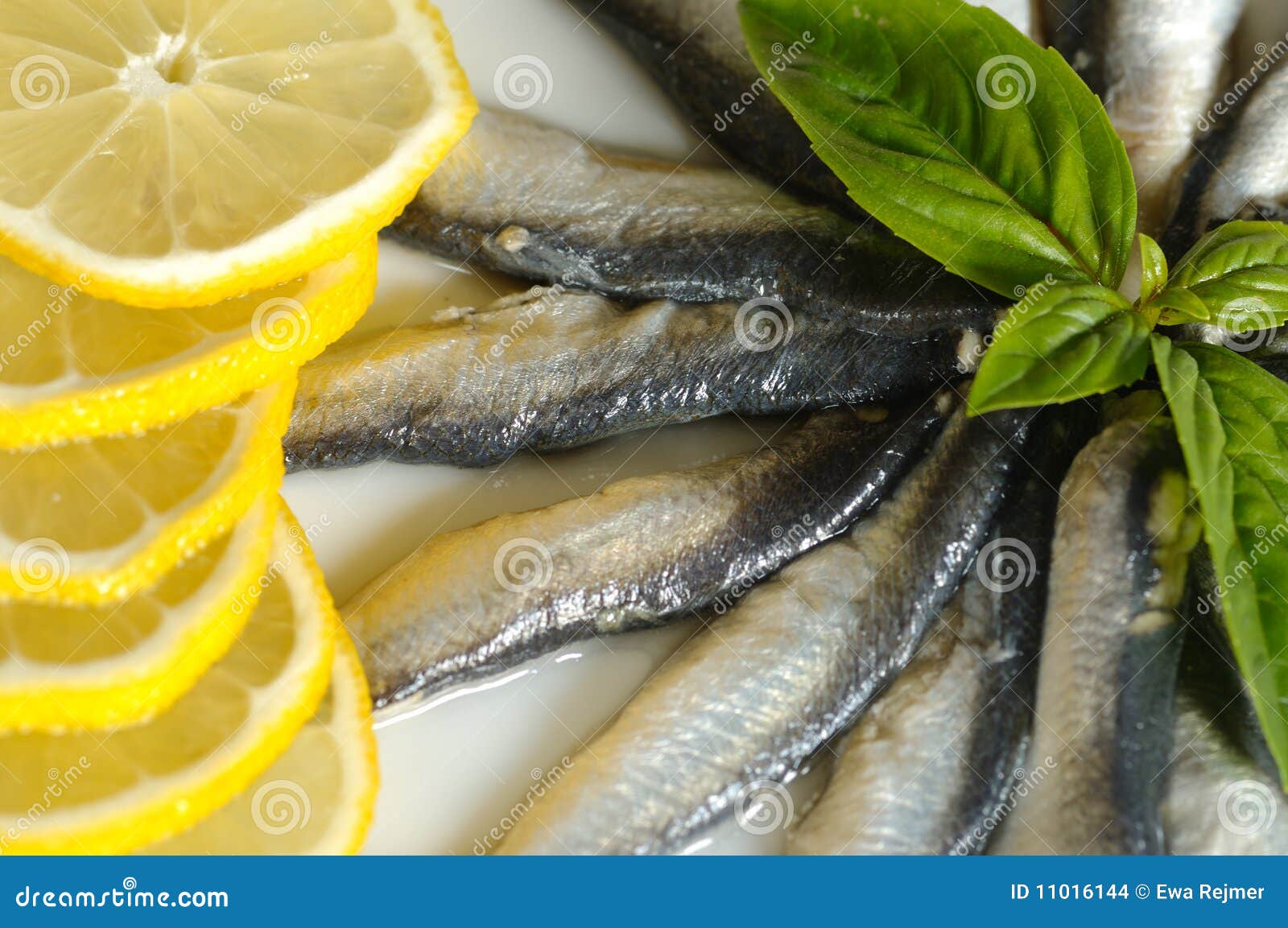 Insalata dello spratto fotografia stock. Immagine di pesci - 11016144