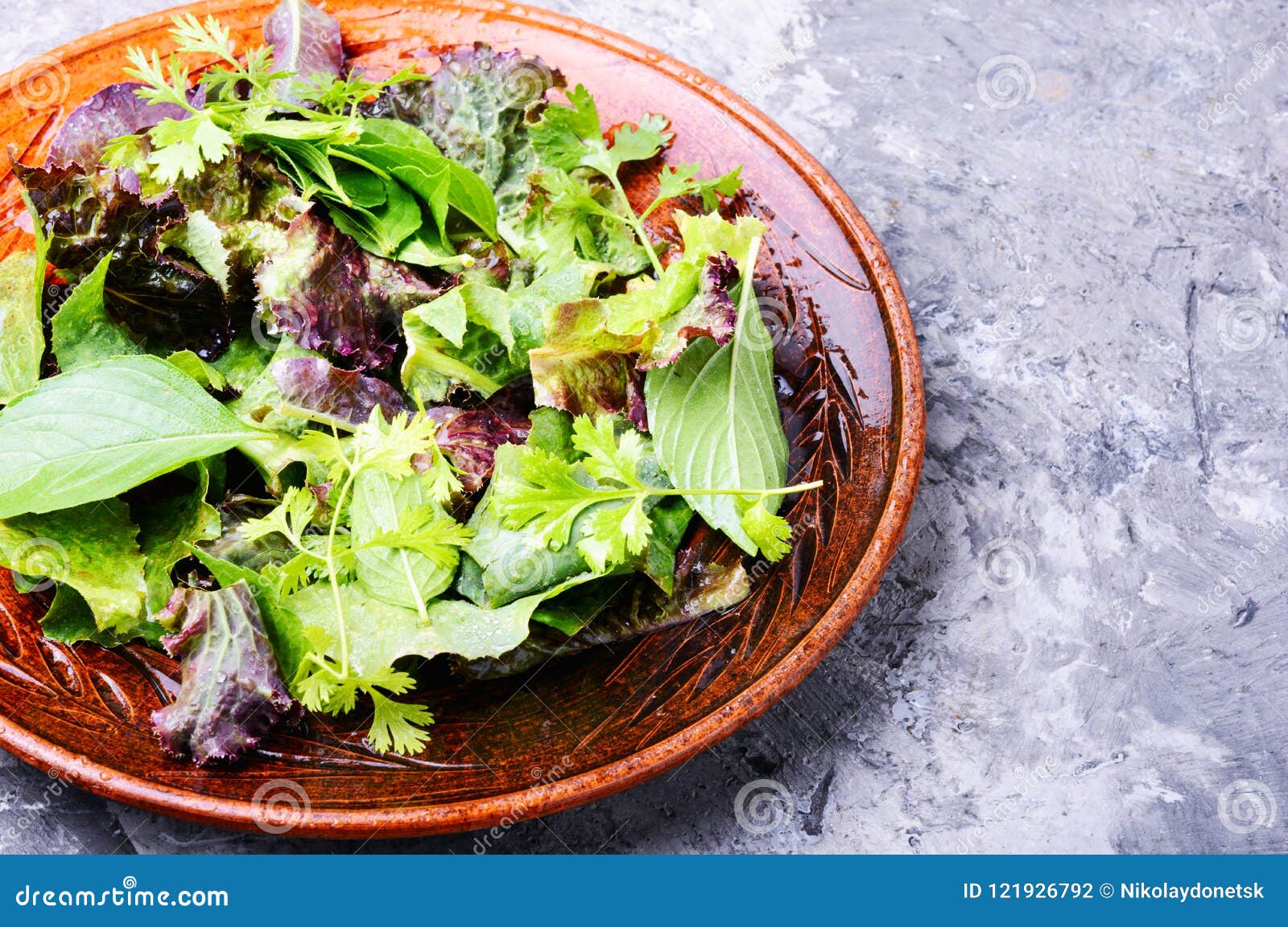 Insalata verde fresca fotografia stock. Immagine di piatto - 121926792