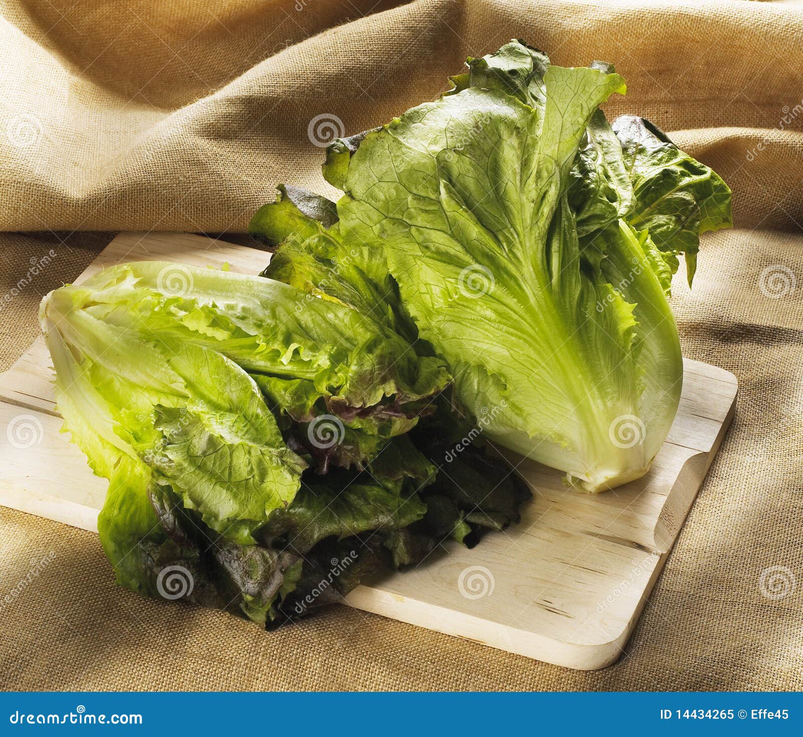 Insalata verde fresca immagine stock. Immagine di freschezza - 14434265