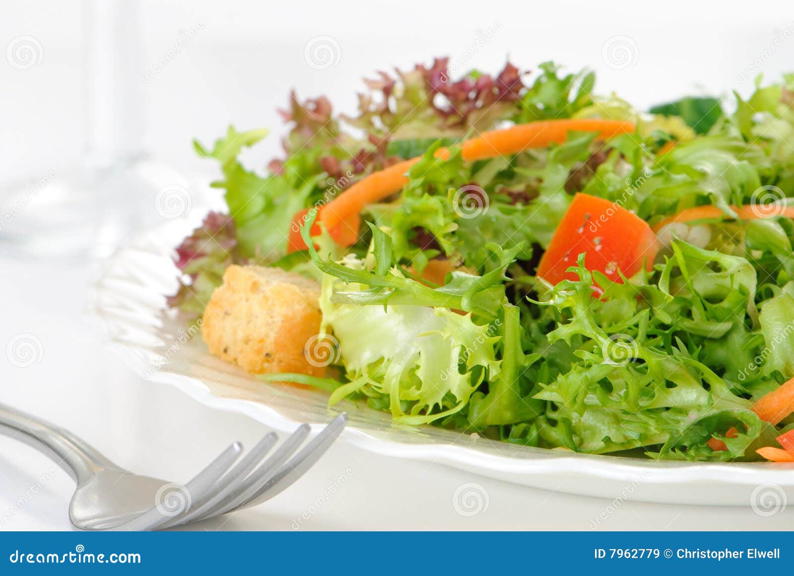 Insalata verde fresca immagine stock. Immagine di insalata - 7962779