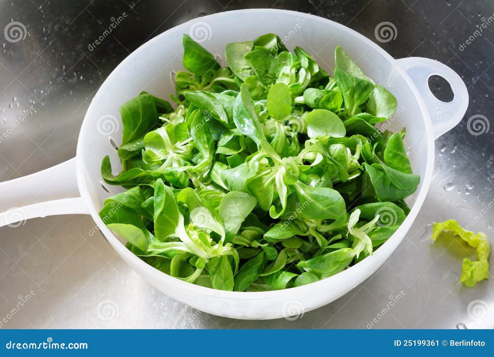 Insalata Verde Fresca in Ciotola Immagine Stock - Immagine di insalata ...