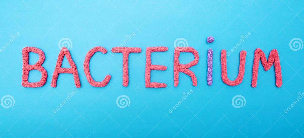 The Inscription Bacterium from Red Letters on a Blue Background, the ...