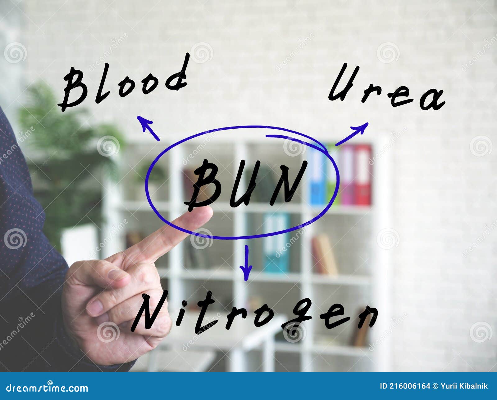The Inscription BUN Blood Urea Nitrogen . Hand Gestures - Man Pointing ...