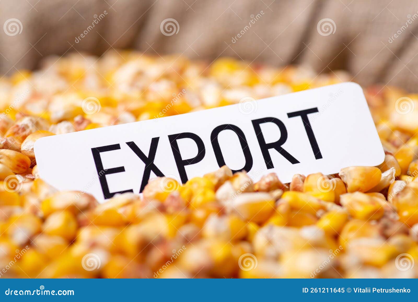Inscription Export on Corn Grain Stock Image - Image of sell, money ...