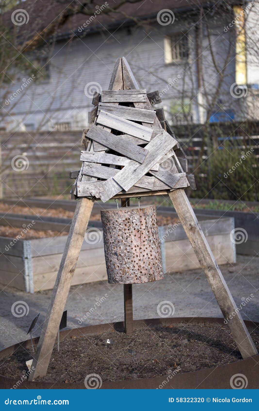 Insect Hotel in Log stock photo. Image of insect, hole - 58322320
