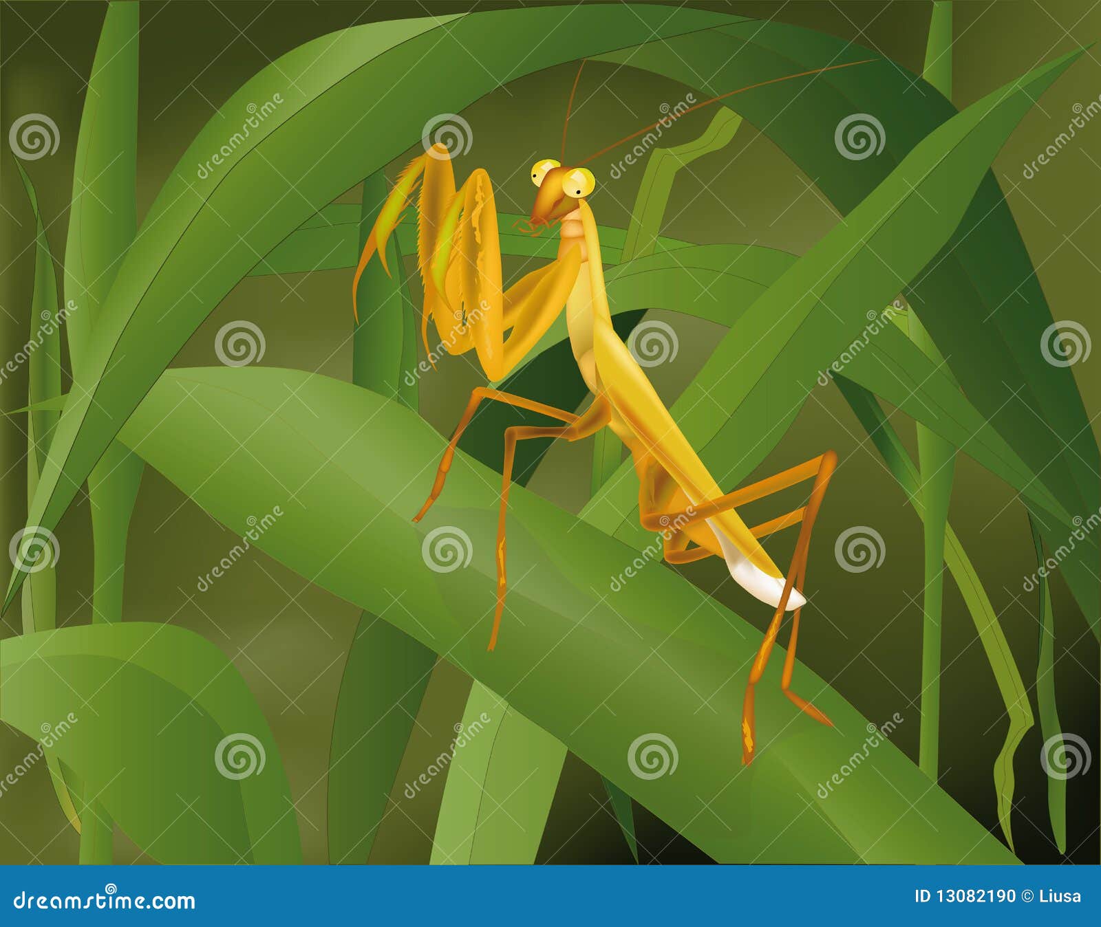 Cartoon Naturalism Stock Illustrations – 205 Cartoon Naturalism Stock ...