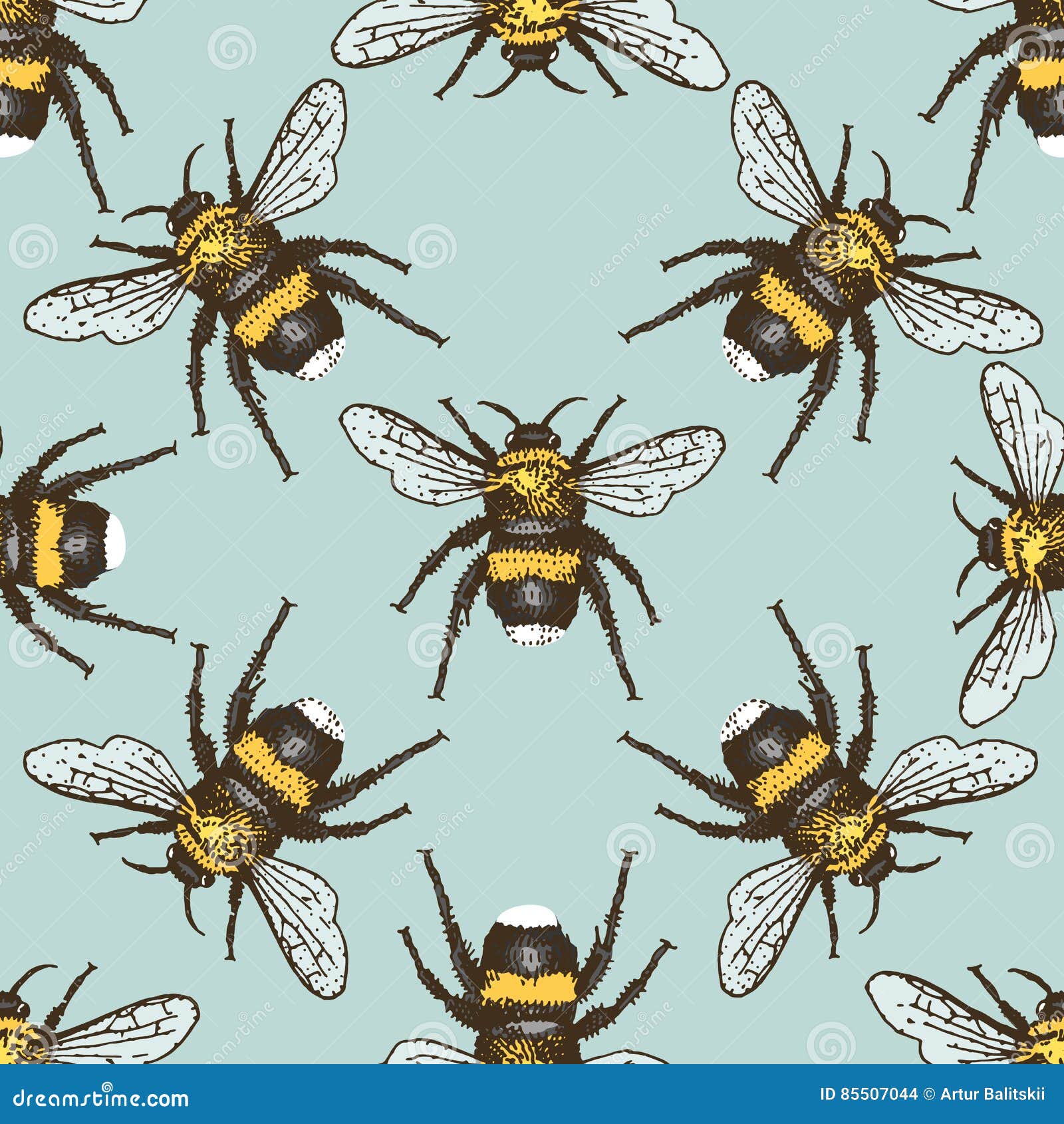 Insect Beetle Seamless Pattern, Background with Engraved Animal Hand ...