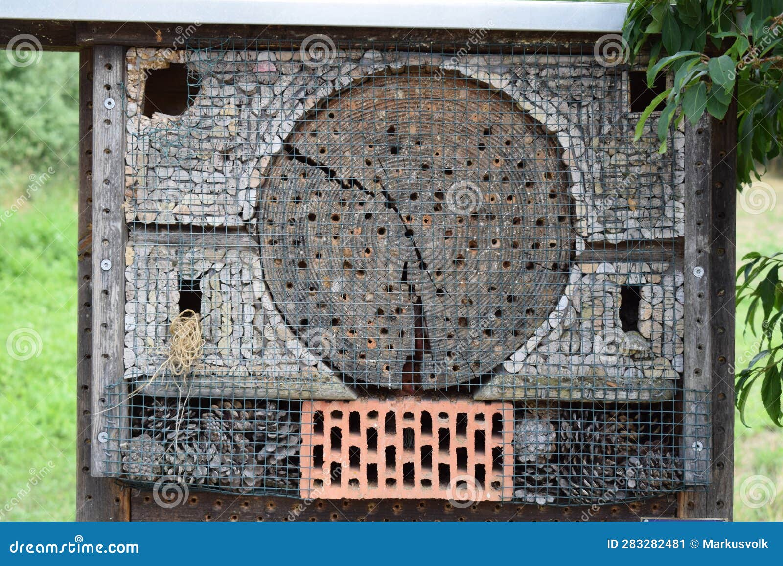 Insect breeding area stock image. Image of relief, life - 283282481