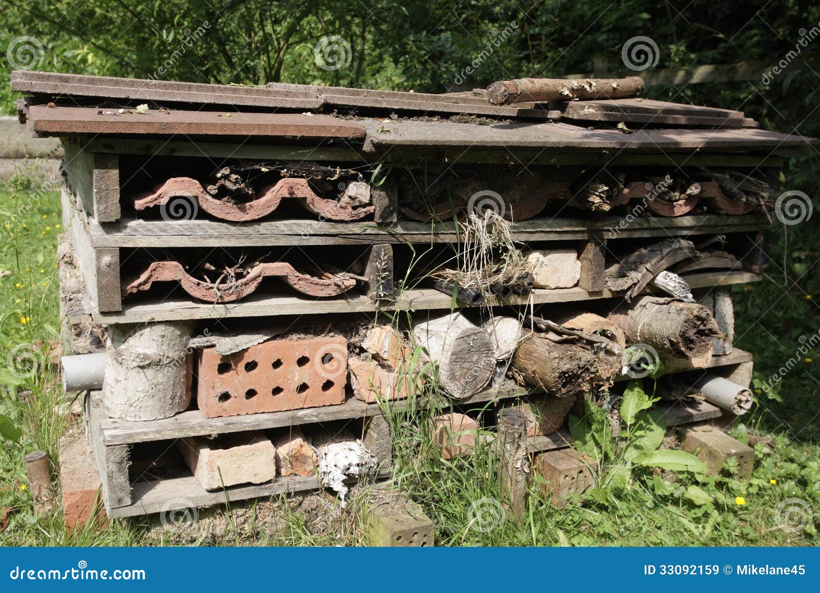 Insect breeding box stock image. Image of nest, breeding - 33092159