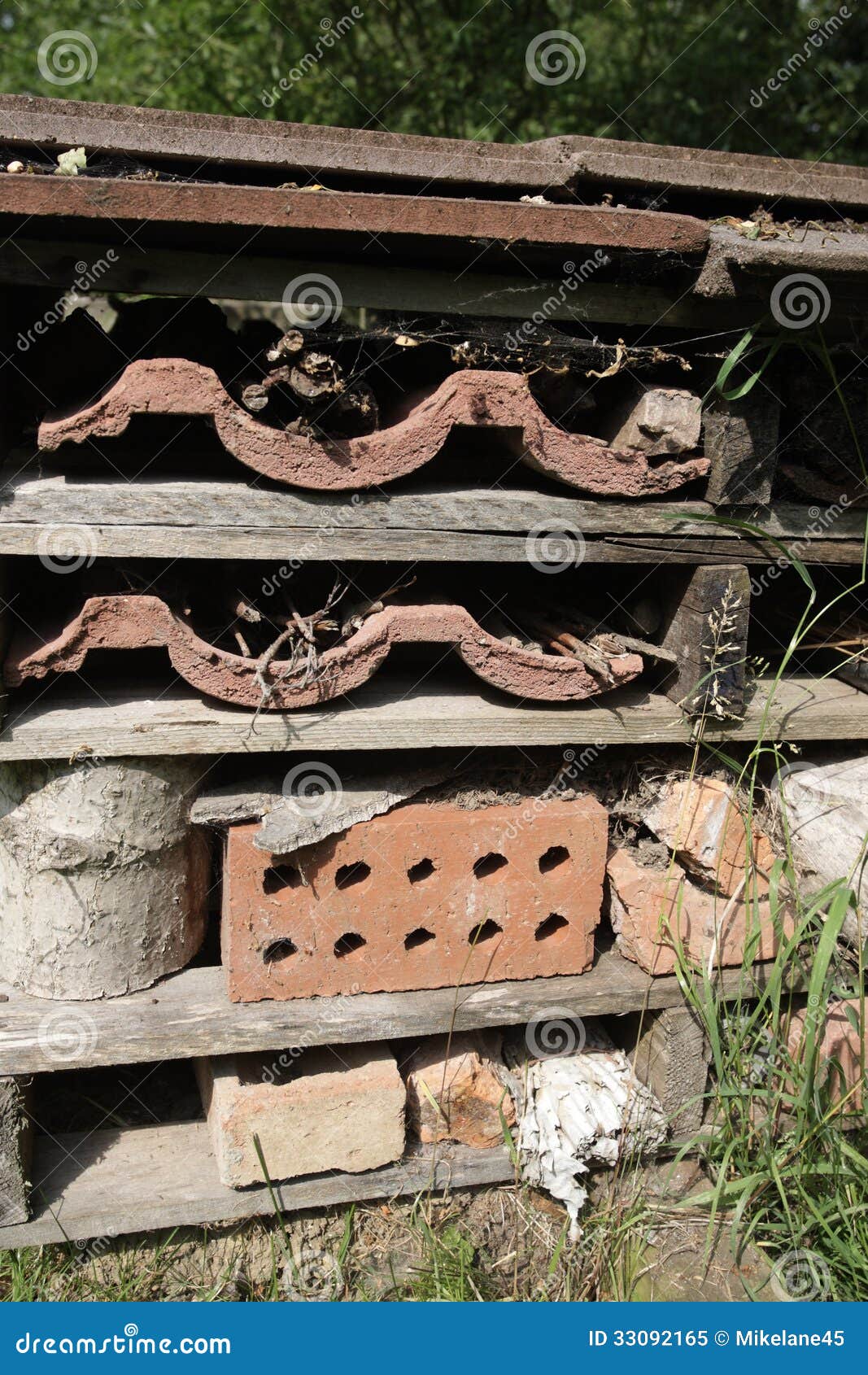 Insect breeding box stock image. Image of breeding, grass - 33092165