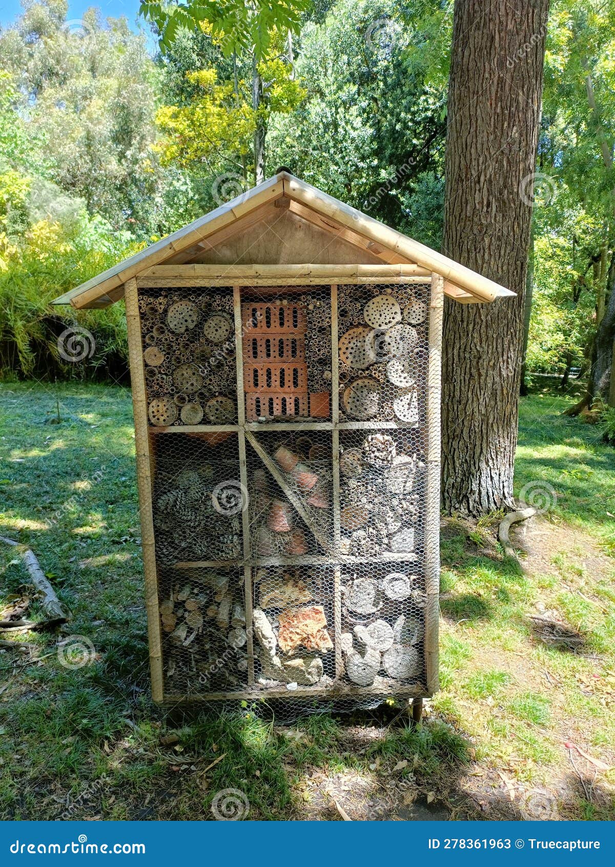 Insect Bug Hotel in a Forest Stock Image - Image of hotel, insect ...