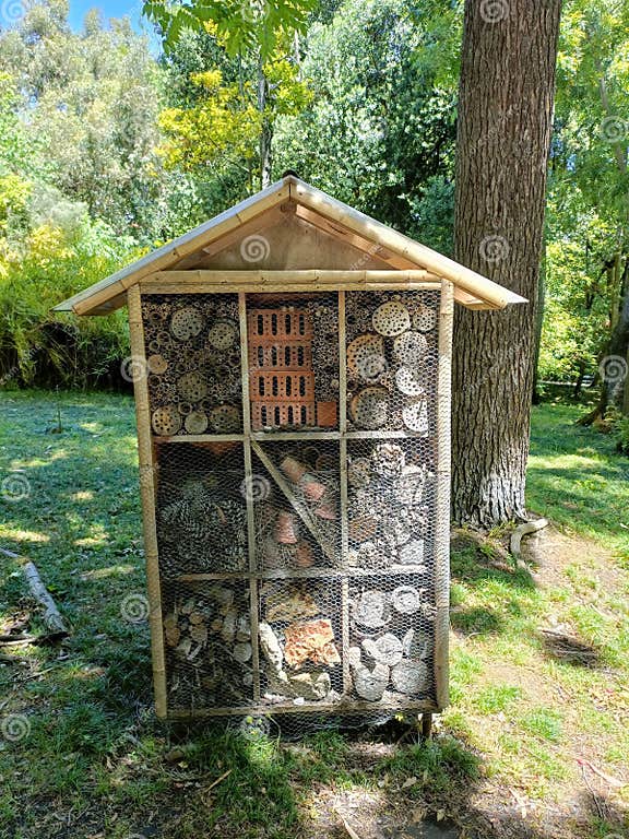 Insect Bug Hotel in a Forest Stock Image - Image of hotel, insect ...