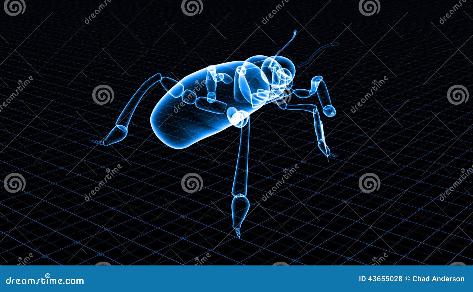 Insect Bug X-Ray Scan Technology Stock Footage - Video of robot, beetle ...