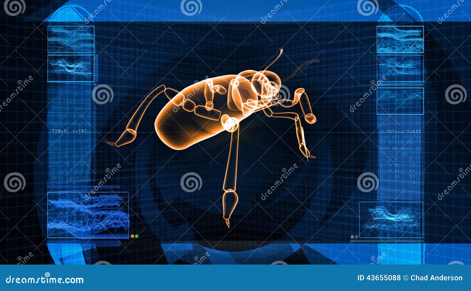 Insect Bug X-Ray Scan Technology Stock Footage - Video of data, beetle ...