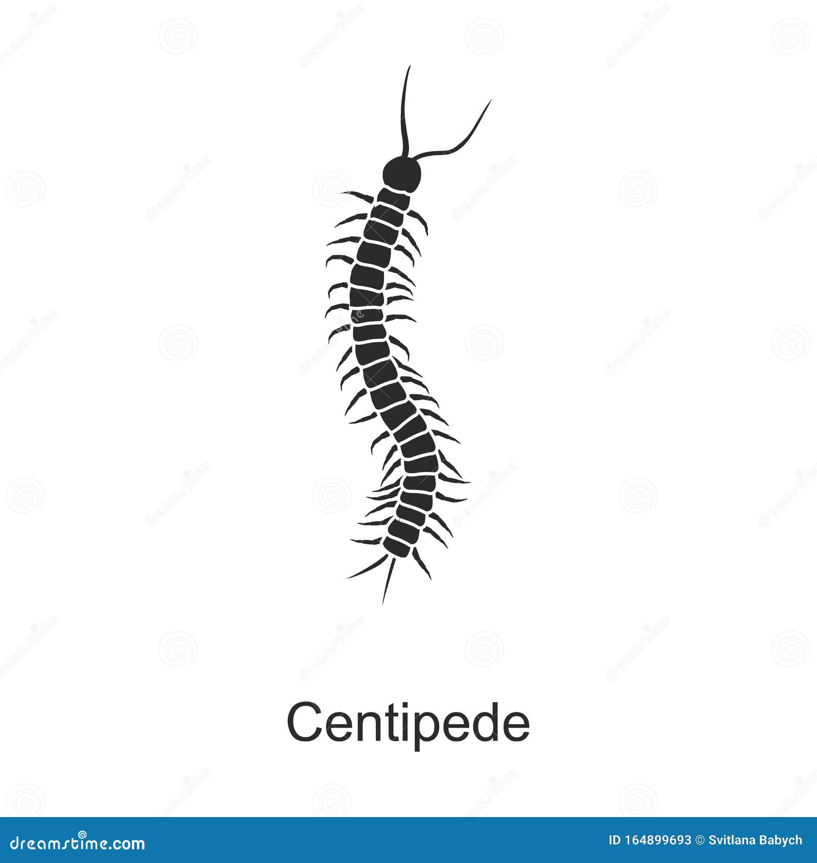 Centipede. Vector Illustration In Cartoon Style On A White Background ...