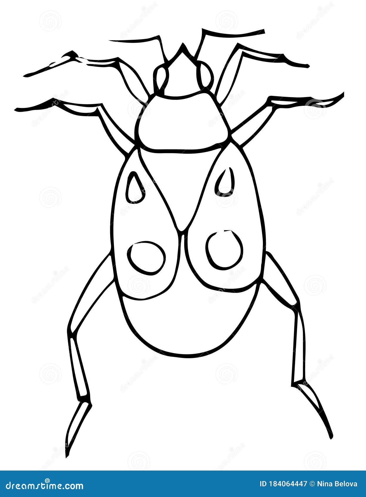 Insect Coloring Book Page, Vector Outline Illustration Bug Stock ...