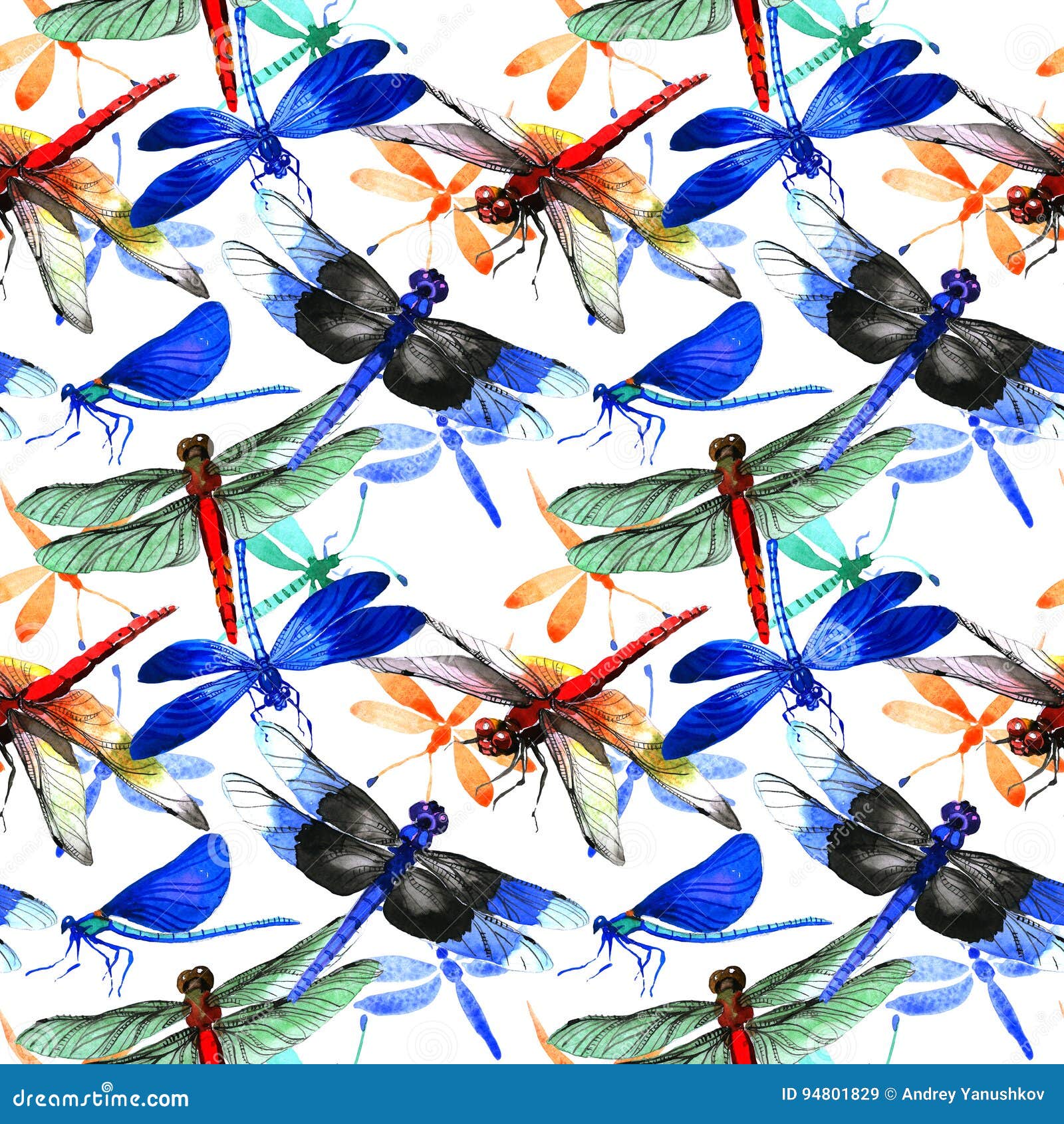 Insect Dragonfly Pattern in a Watercolor Style Isolated. Stock ...
