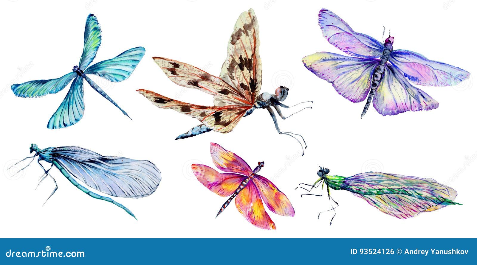 Dragonfly Border Clip Art