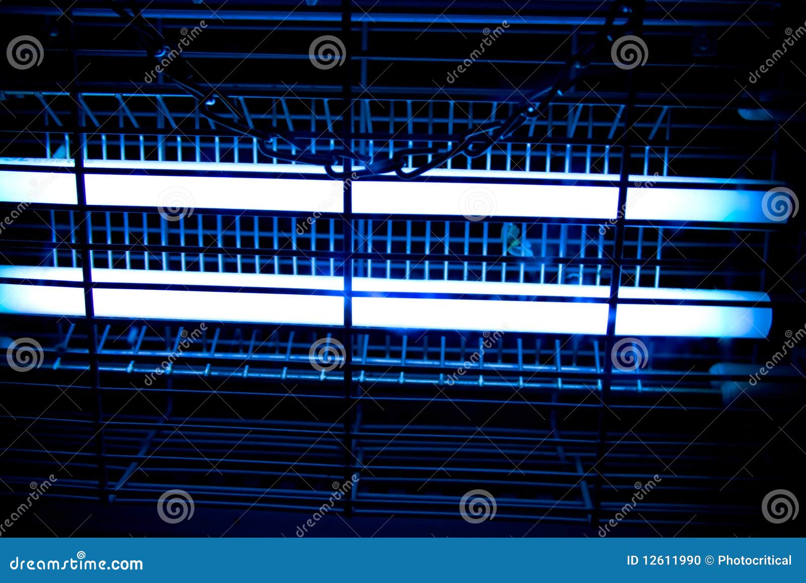 Insect Electrocution Stock Photos - Free & Royalty-Free Stock Photos ...